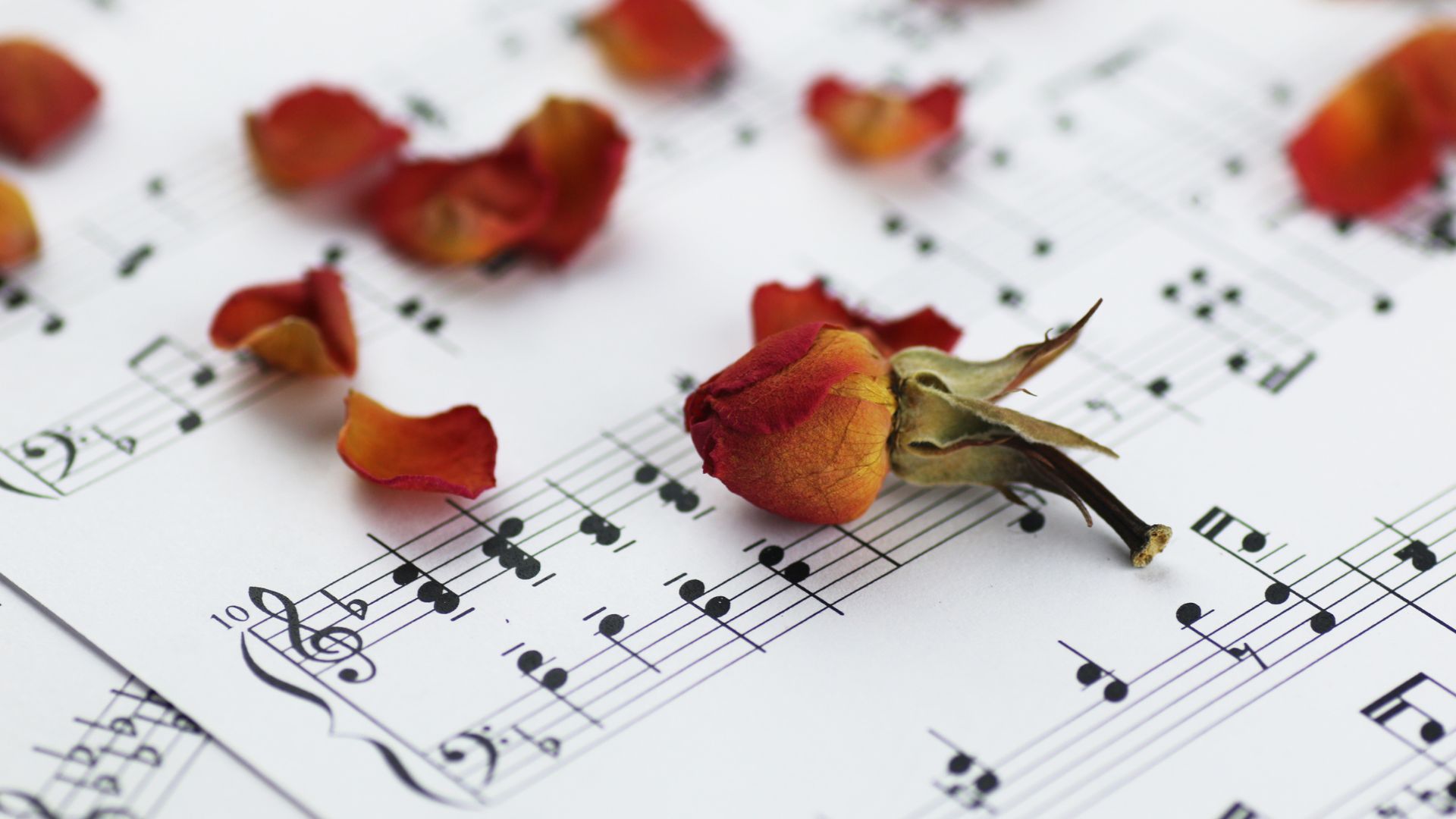 Music in Memoriam | The Power of Song in Funeral Ceremonies